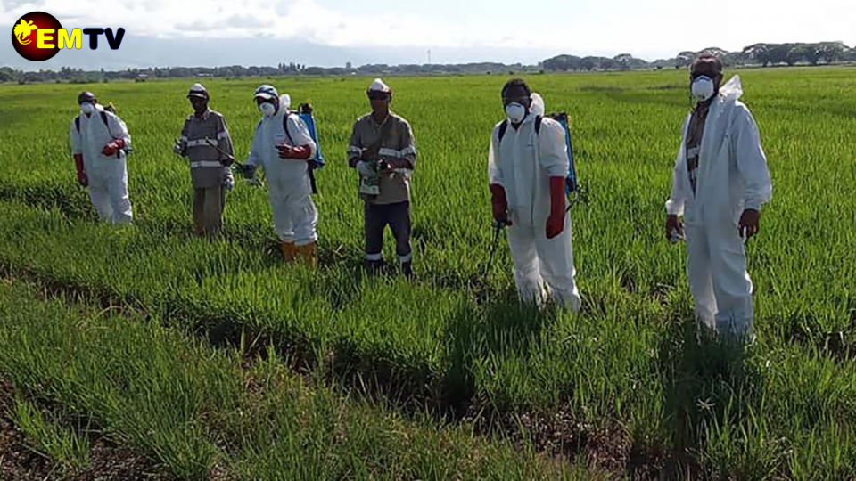 TRUKAI SUPPORTS RICE FARMERS – EMTV Online