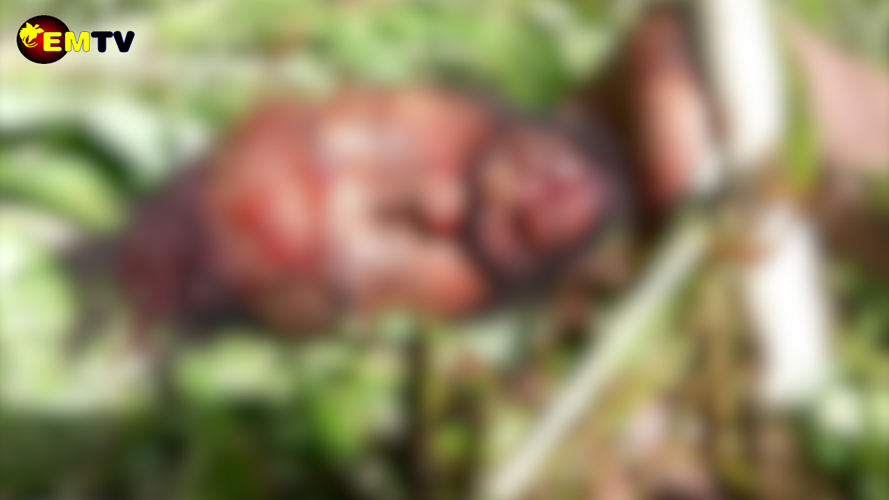 WELL KNOWN CRIMINAL KILLED — EMTV ONLINE
